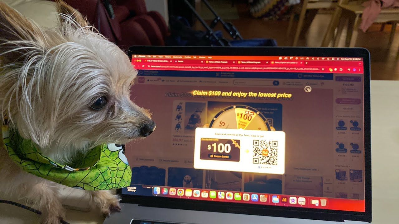 $18.27 TEMU Strollers Shipped By Sea PT 2 - YouTube