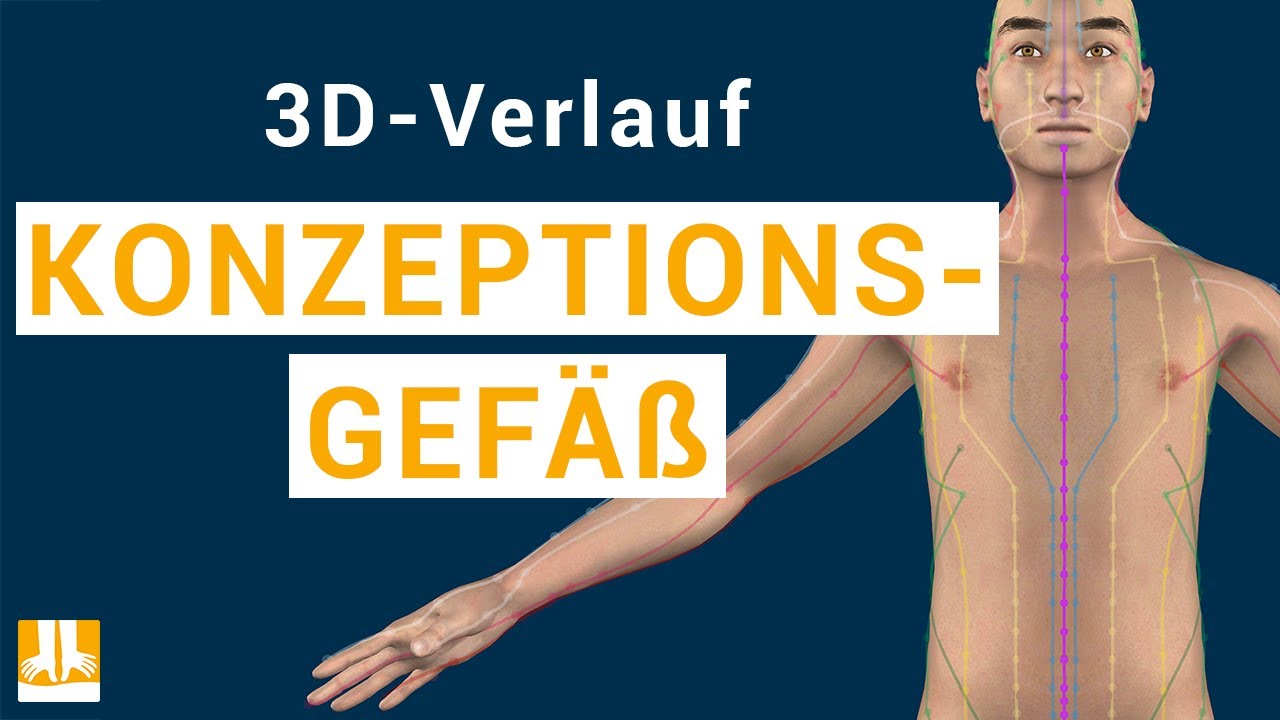 Das Konzeptionsgefäß (Ren Mai) - 3D-Verlauf von Punkt zu Punkt - YouTube
