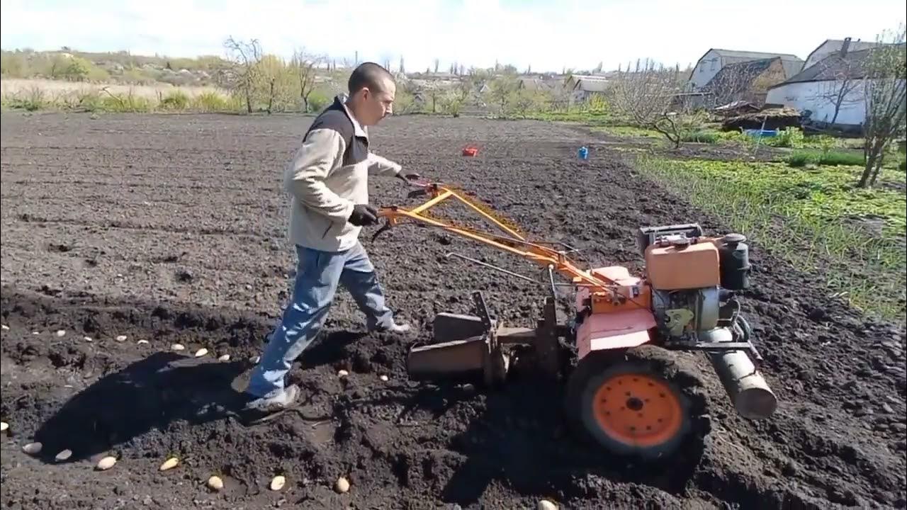Самодельное приспособление для посадки картошки мотоблоком - YouTube