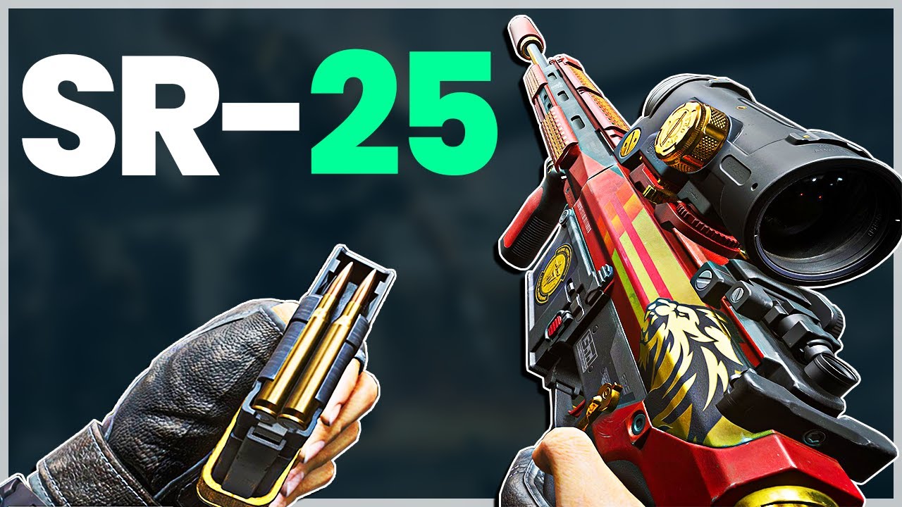 This SR-25 Build Made Me Play Delta Force Differently! - YouTube