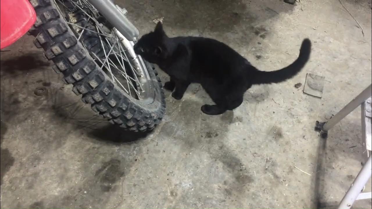 honda xr250r no start fix part 2 - YouTube