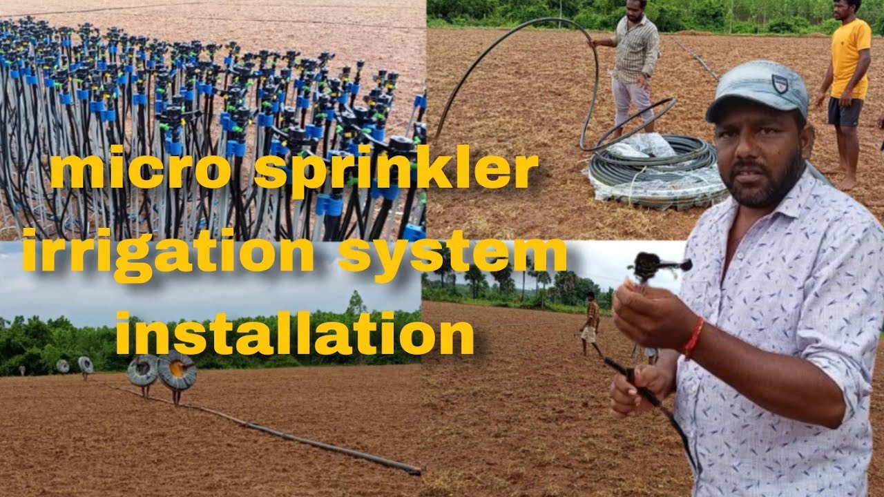 micro sprinkler irrigation system installation!మైక్రో స్ప్రింక్లర్ ...