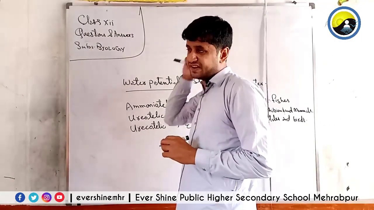 Class Inter | Biology | Questions & Answers - YouTube