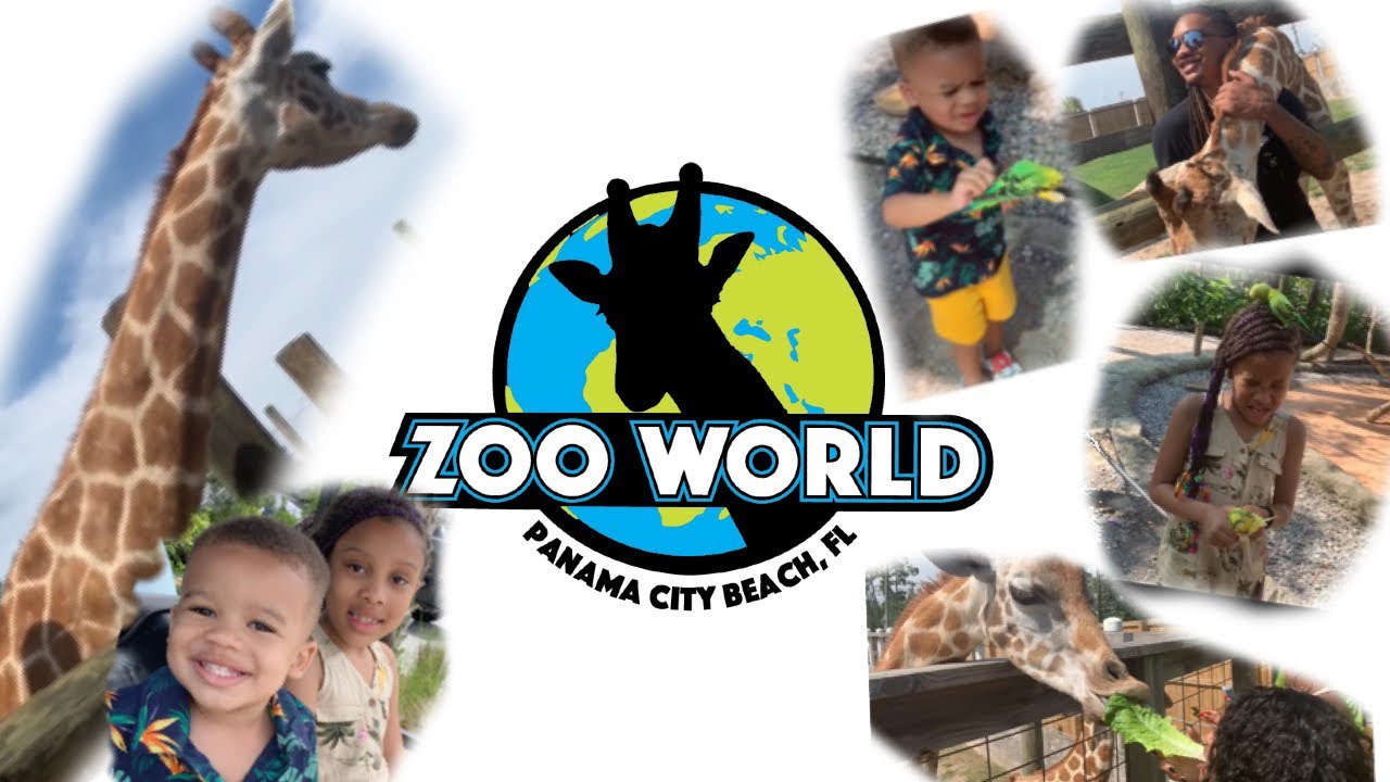 Zoo World - YouTube