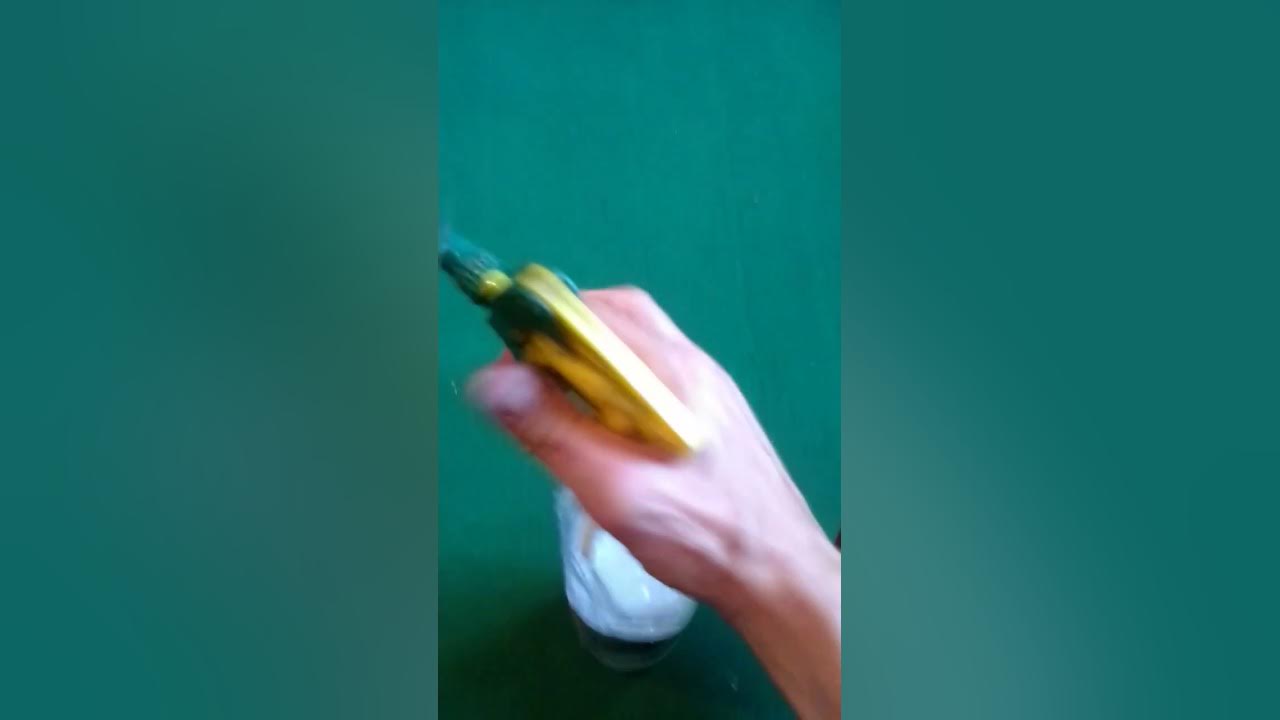 Простой способ избавиться от земляных блох в доме - YouTube