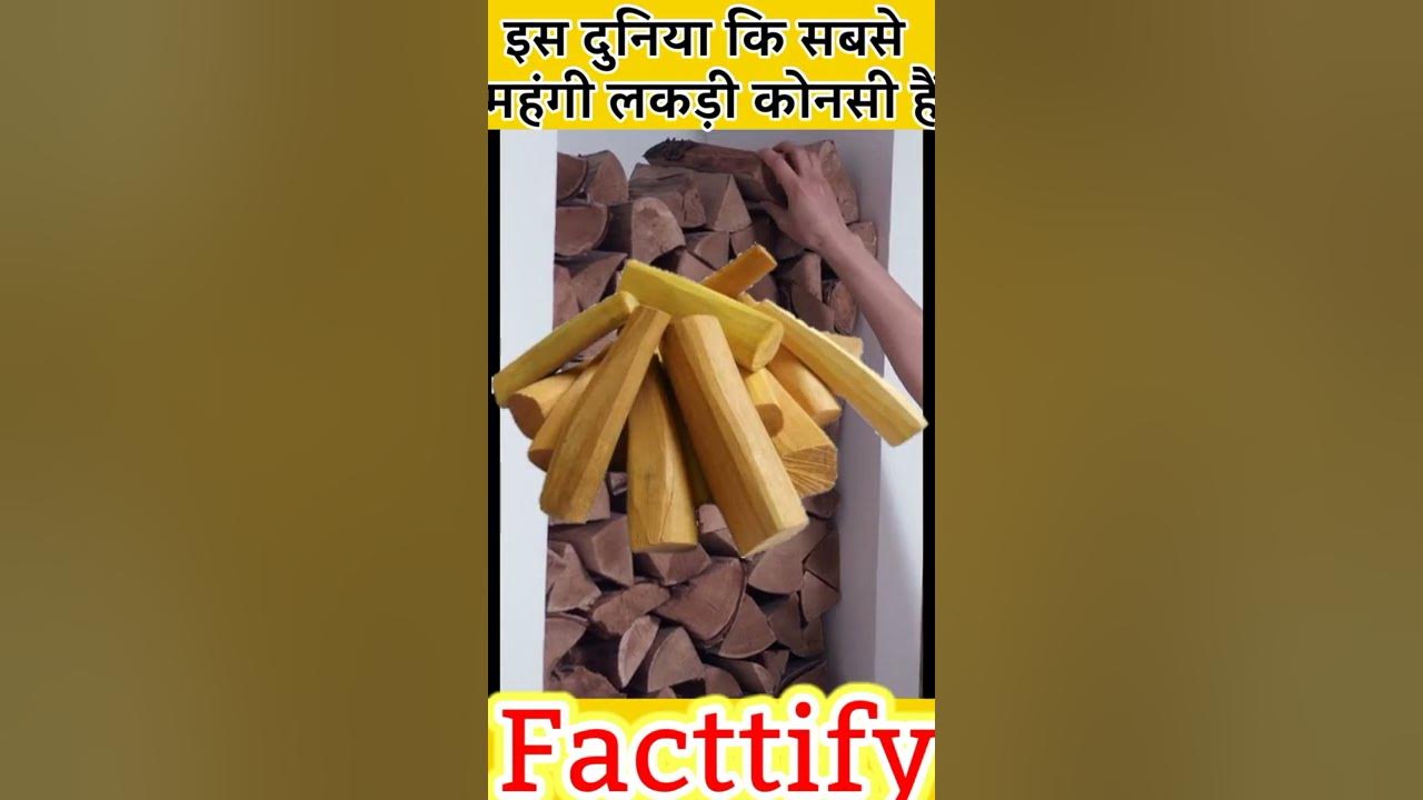 newspaper-ki-full-form-kya-hoti-hai-facttify-shorts-youtube
