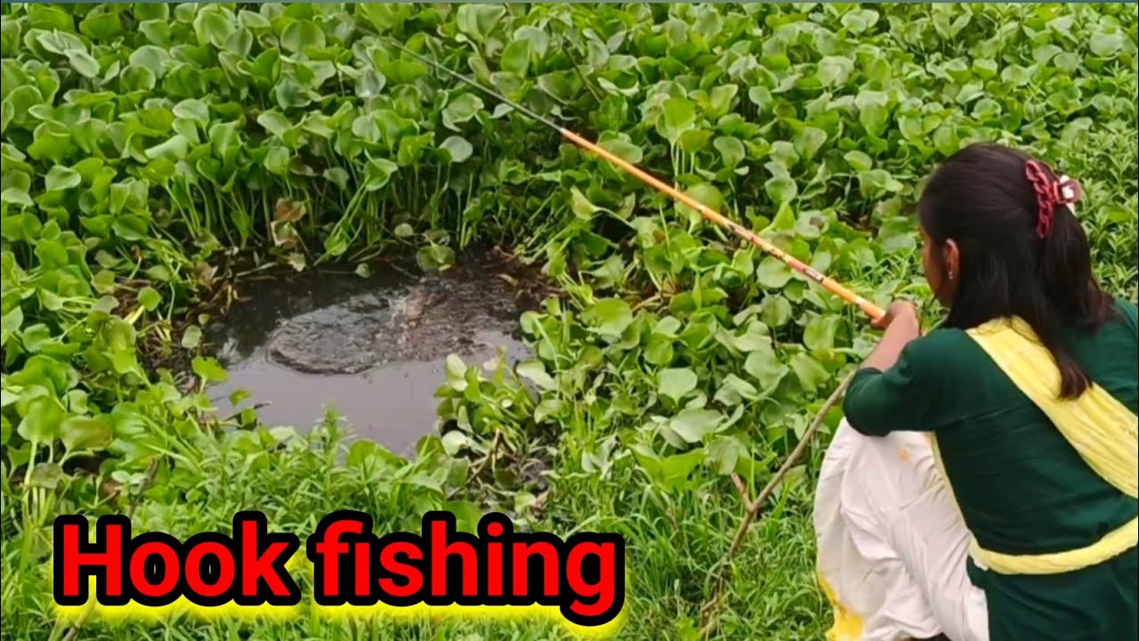Fishing video.Assam hook fishing video.Indian hook fishing . - YouTube