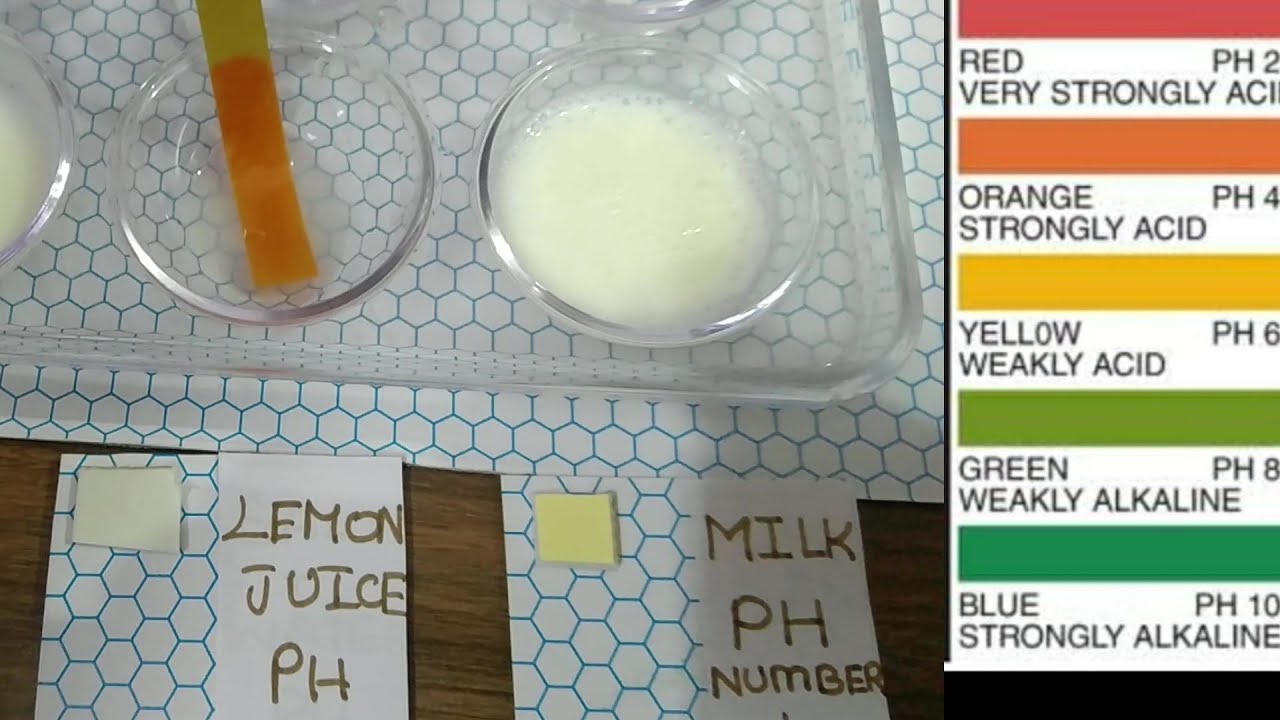 Testing few substances with PH strips and writing their PH number ...