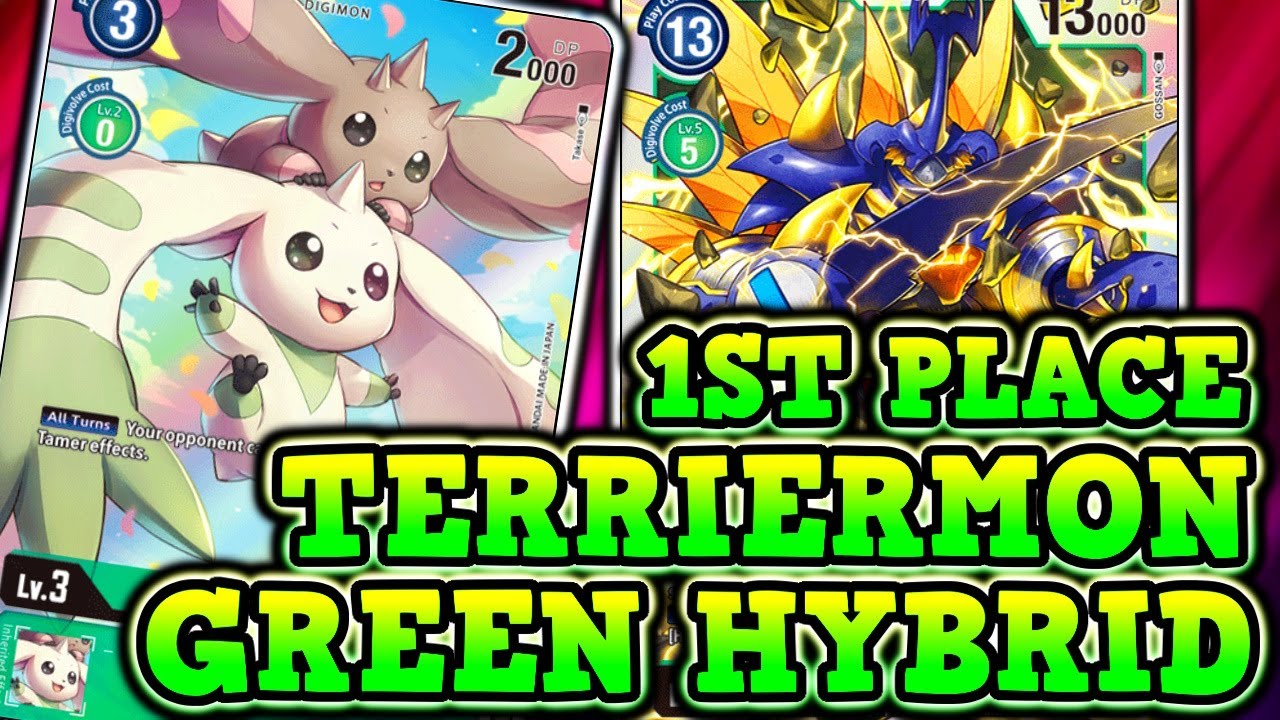 1st Place Locals TERRIERMON Green Hybrid Deck! • Digimon TCG BT11 ...