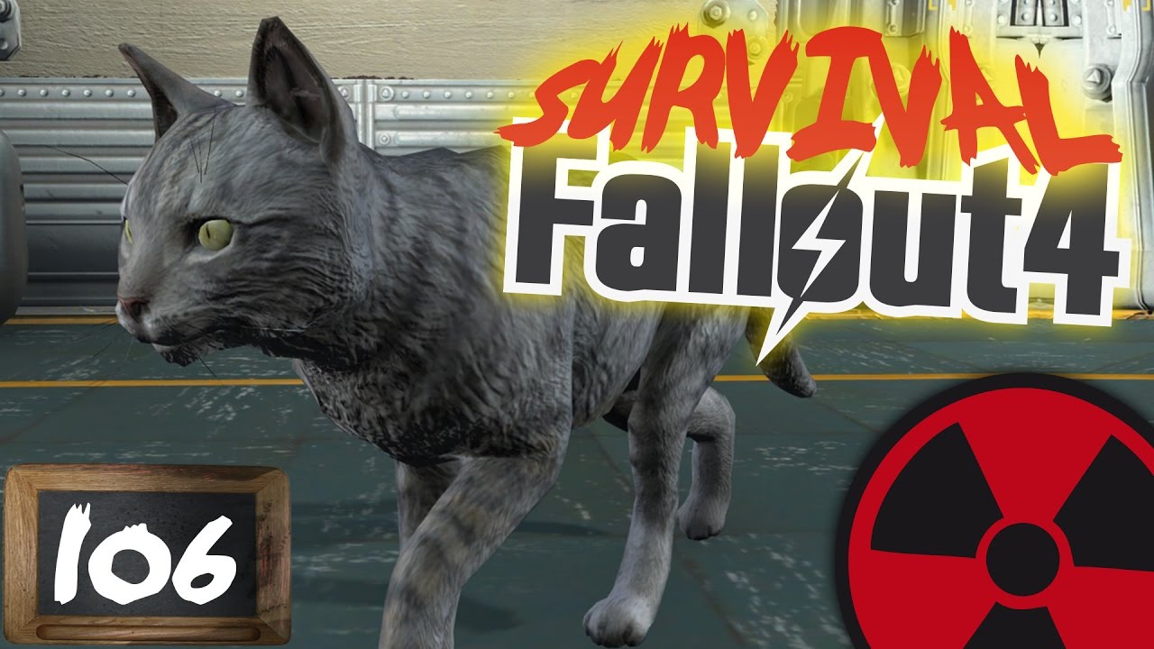 FALLOUT 4 - SURVIVAL - #106: Hier Kitty, Kitty ☢ [DEUTSCH] Lets Play ...