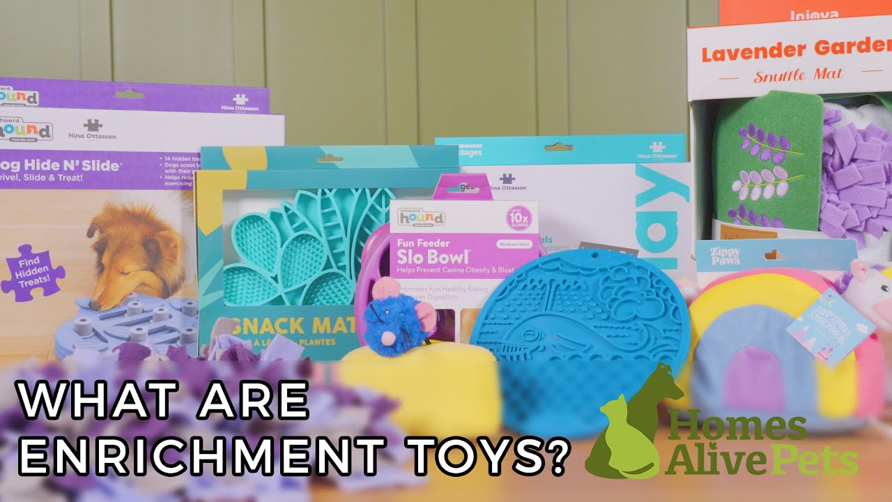 Enrichment Toys For Cats Dogs Plus DIY Toy Tutorials YouTube enrichment-toys-for-cats-dogs-plus-diy-toy-tutorials-youtube