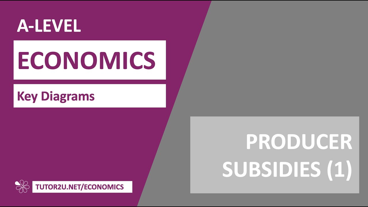 Key Diagrams - Producer Subsidies (Supply and Demand Analysis) - YouTube