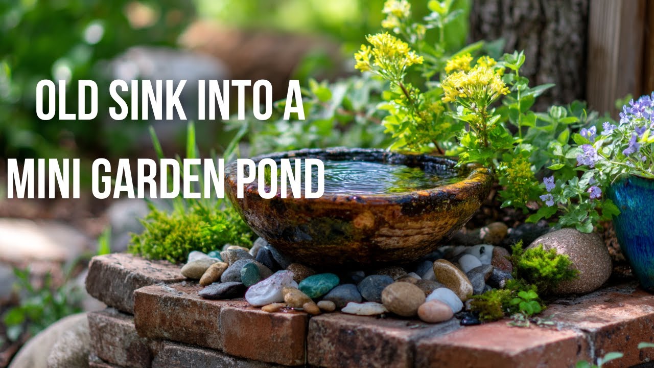 Old Sink into a Mini Garden Pond – Surprisingly Easy & Beautiful DIY ...