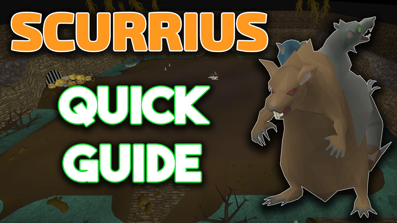 SCURRIUS mid-level rat boss guide // OSRS - YouTube