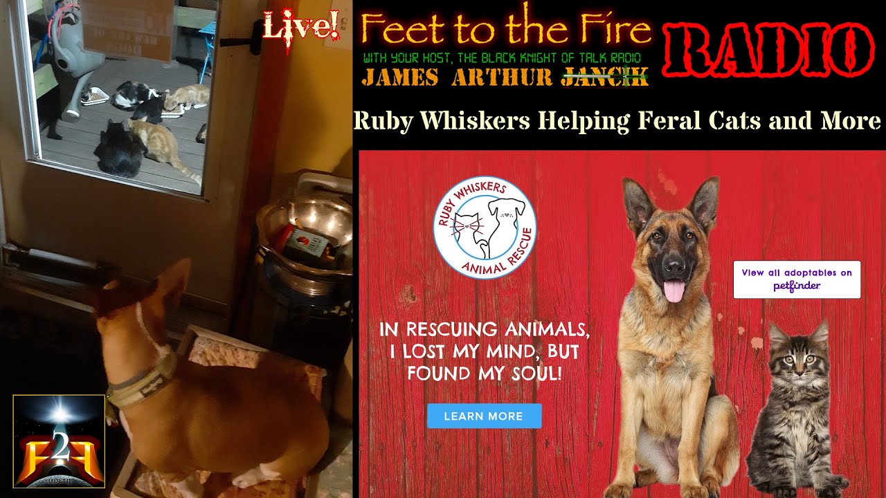 F2F Radio: Ruby Whiskers Animal Rescue - YouTube