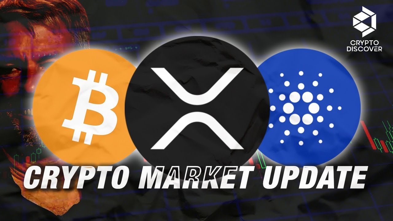 🚀Token Potensi 3x! Bitcoin x Microsoft! Project BitcoinOS! - YouTube