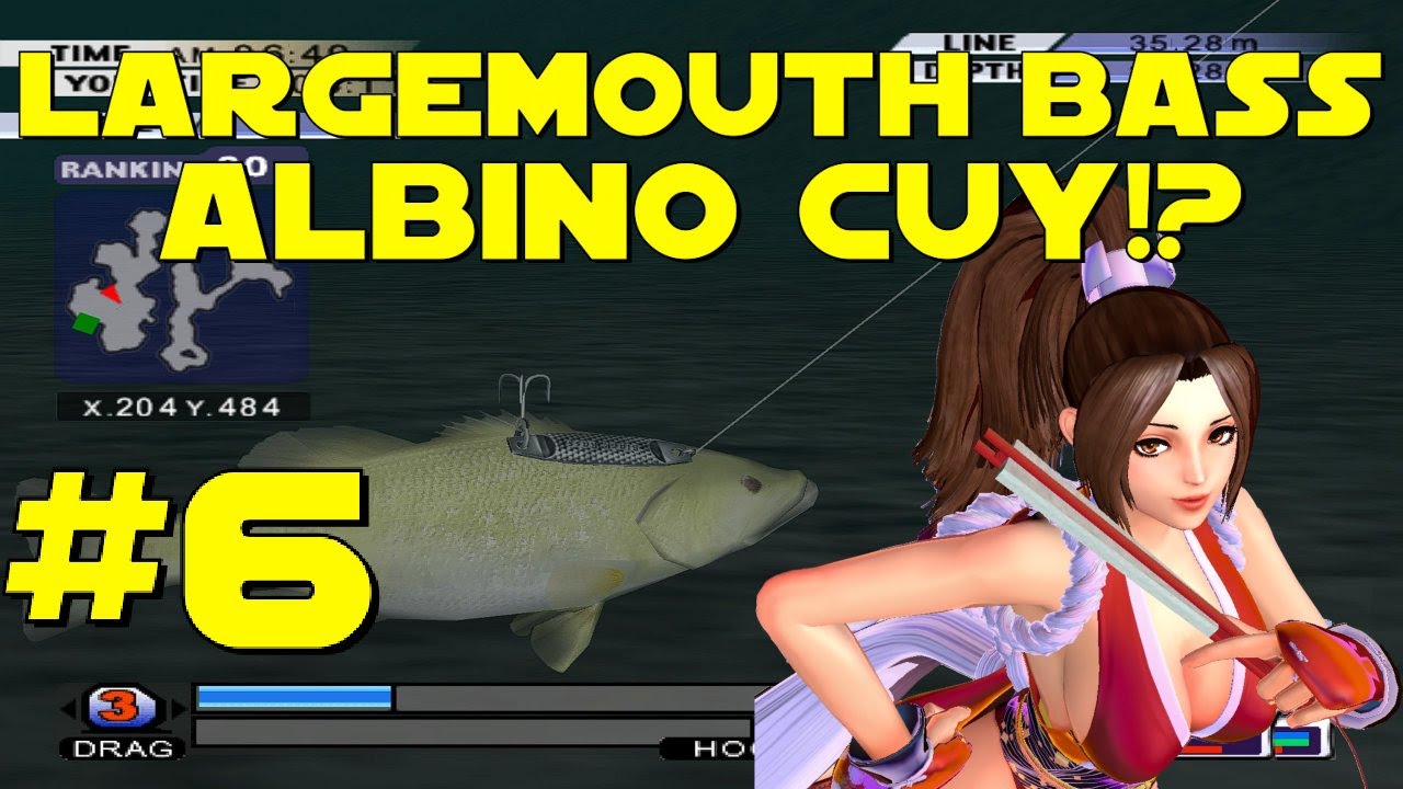 Gua Melihat Penampakan Largemouth Bass Albino.Fisherman's Challenge ...