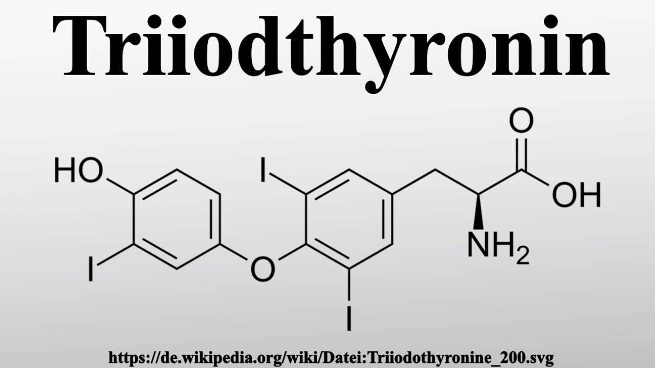 Triiodthyronin - YouTube