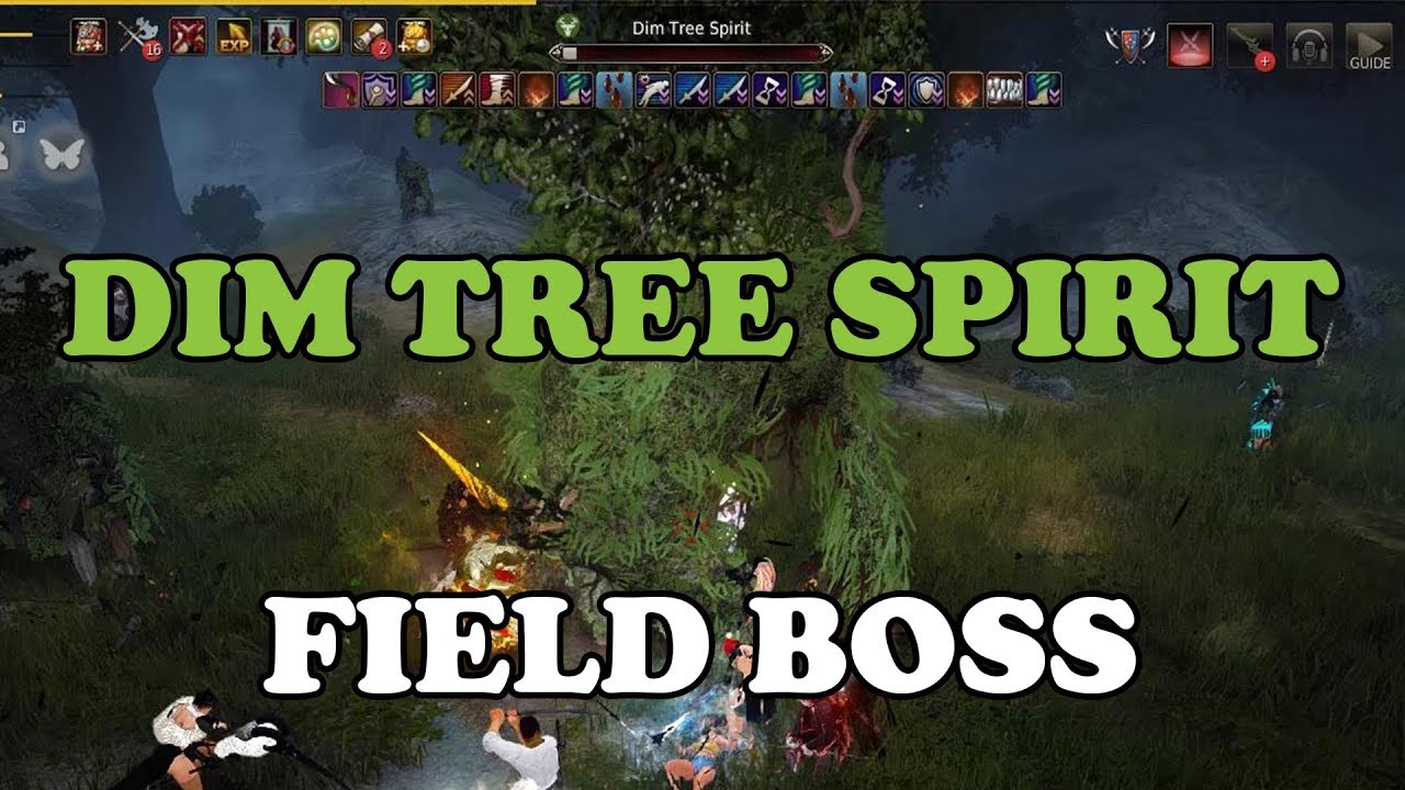 BDO - Dim Tree Spirit Field Boss - YouTube