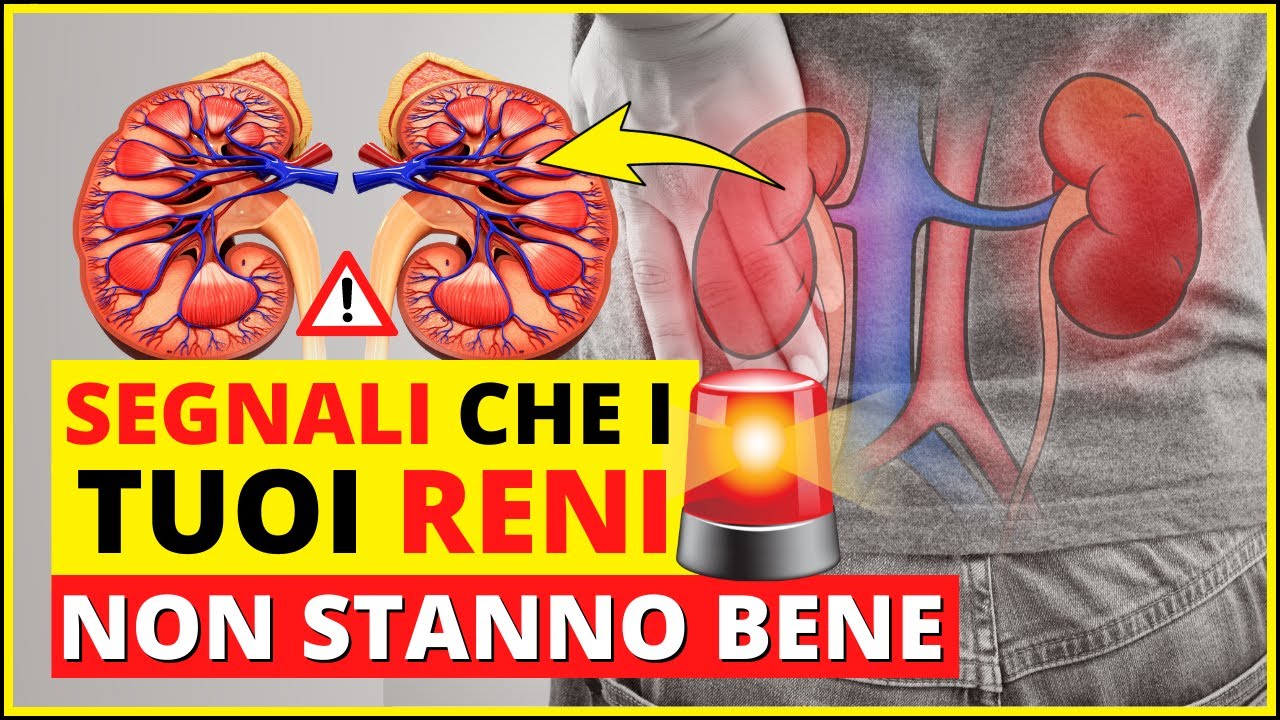 Segnali che i reni non funzionano bene - Malattie renali e sintomi di ...