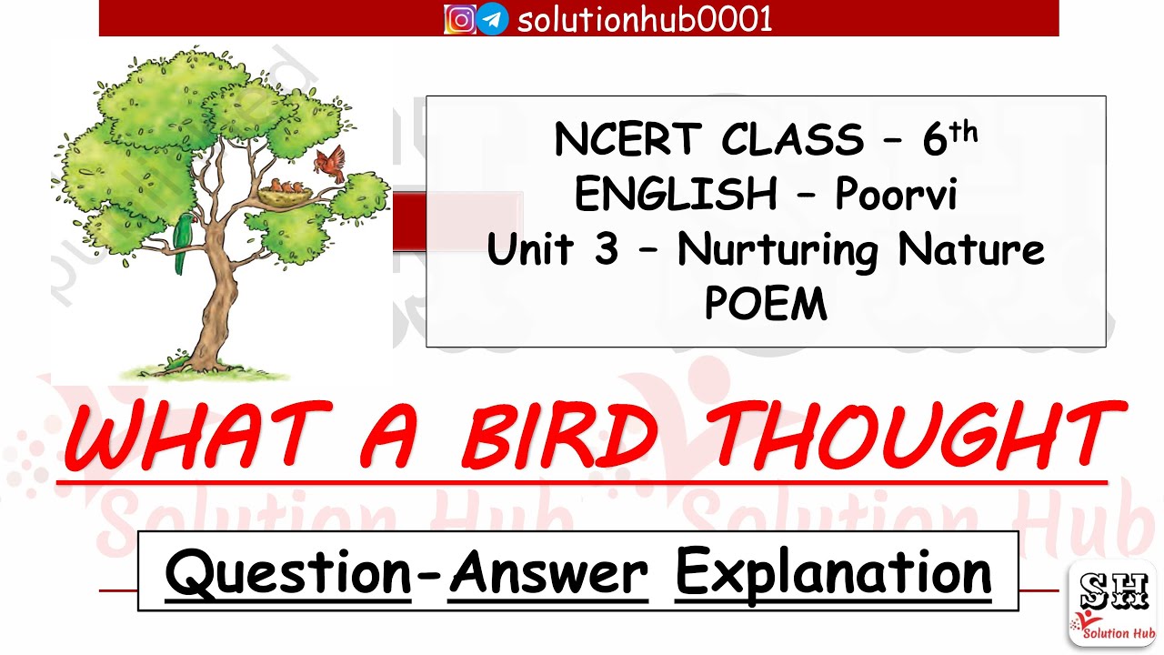 Class 6th What A Bird Thought Poem Question Answer English class-6th-what-a-bird-thought-poem-question-answer-english