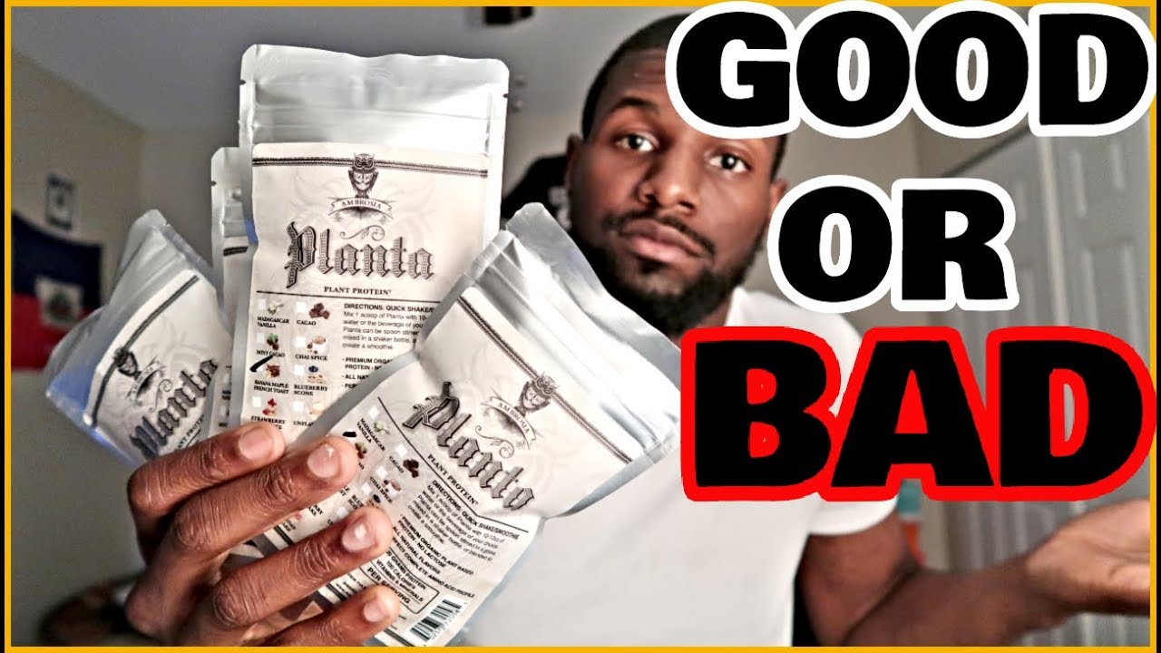 Mike Rashid PLANTA Protein Powder Review| IS IT WORTH THE MONEY? - YouTube