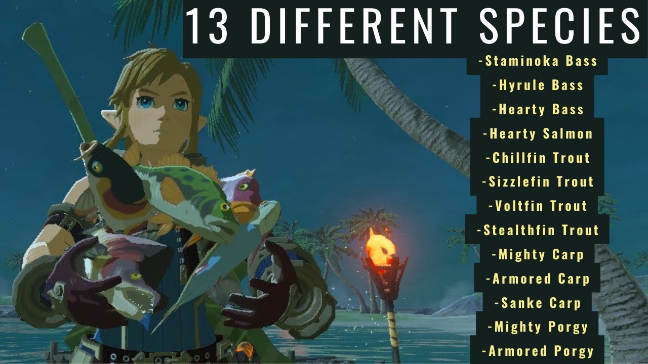EVERY TYPE OF FISH 🐠 Breath of the Wild #botw #zelda - YouTube