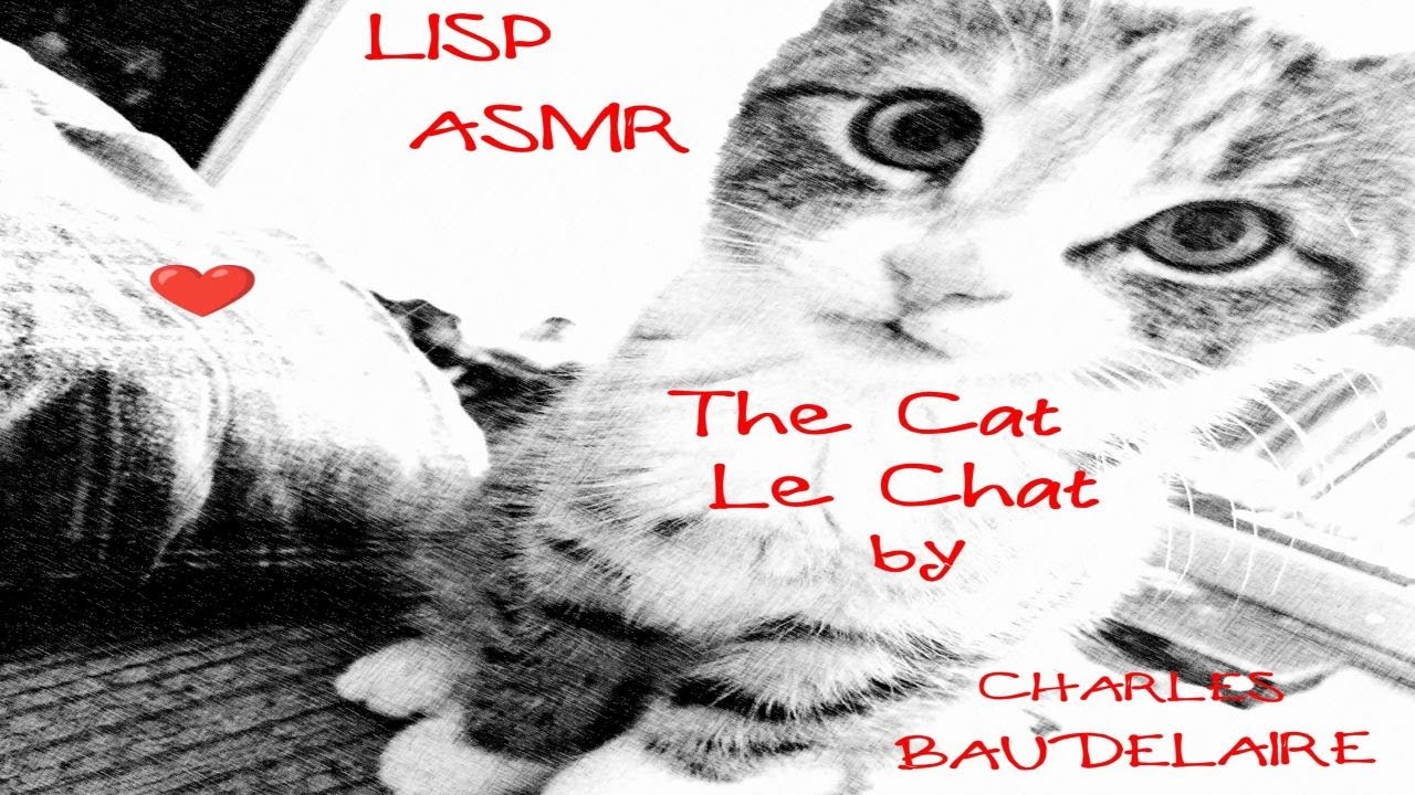 ASMR/Charles Baudelaire's Le Chat /THE CAT/lisp asmr/goth gf/LO-FI ASMR ...