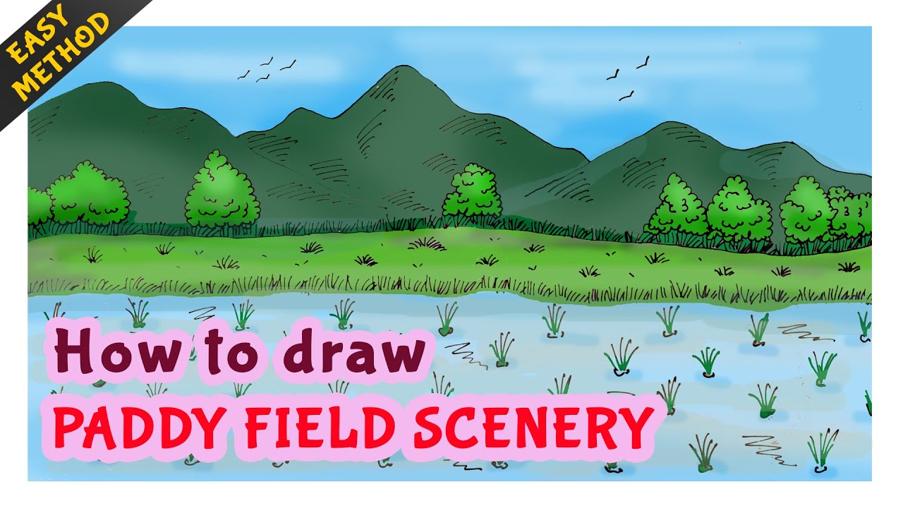 How To Draw PADDY FIELD SCENERY Easy Step by Step Drawing Tutorial how-to-draw-paddy-field-scenery-easy-step-by-step-drawing-tutorial