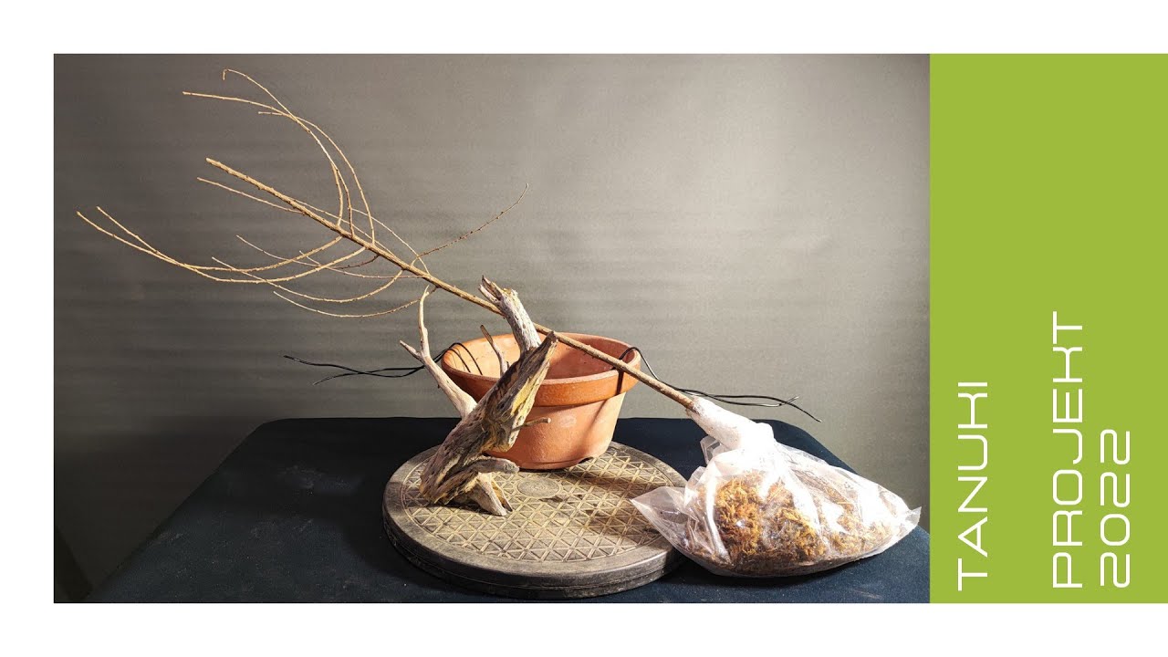 Tanuki Projekt 2022 [4k] - YouTube