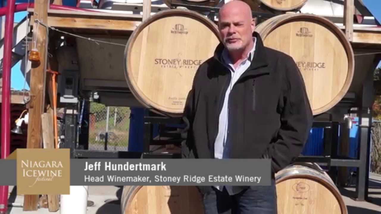 Stoney Ridge Estate Winery Harvest - YouTube