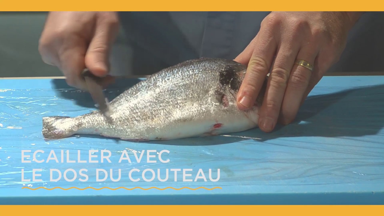 Préparer un poisson rond type dorade - YouTube