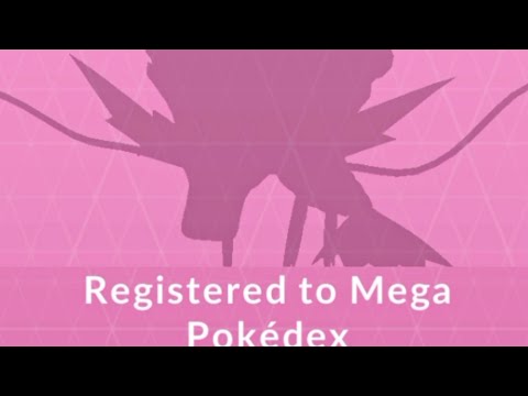 high CP hundo mega monster... (Mega Registration)