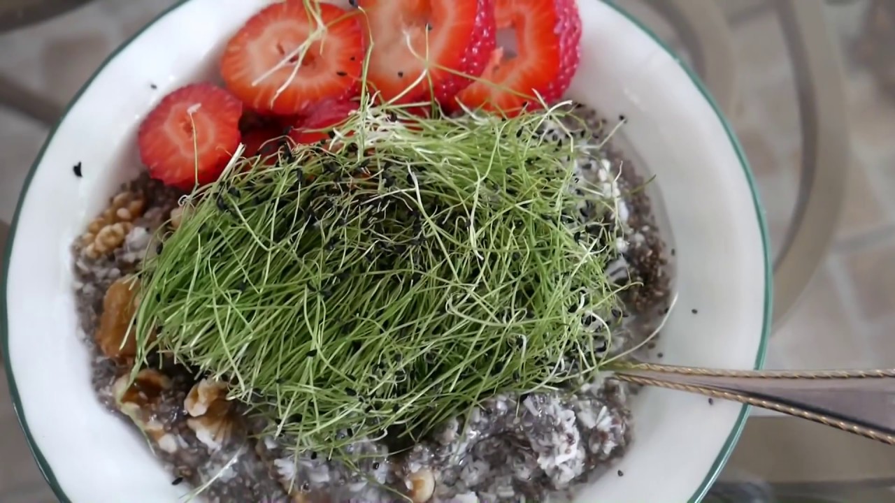 Garlic Chive Chia - MicroGreen Goodness - YouTube