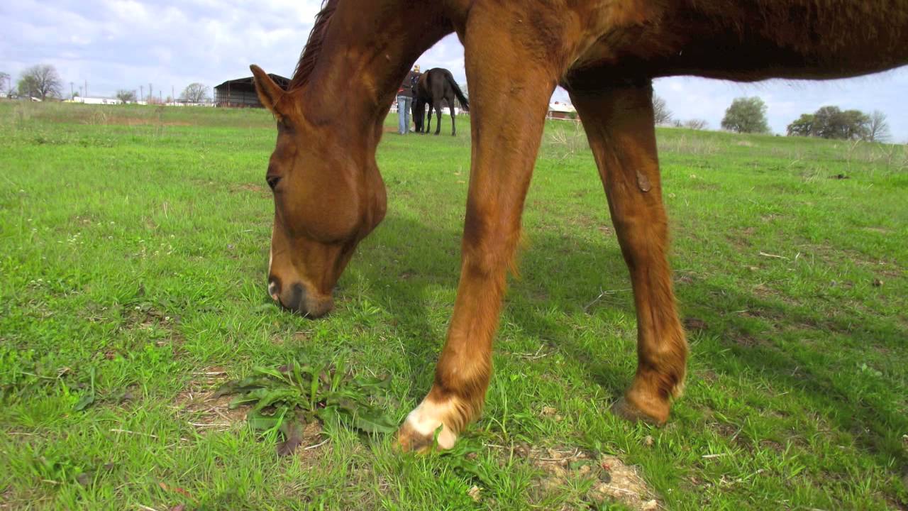 Stillwater Turning Point Ranch - YouTube