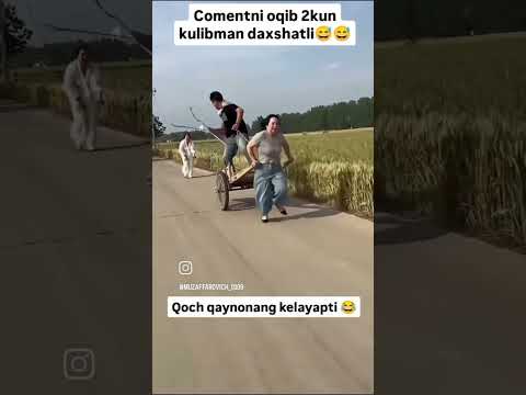 #prikol #comedy #funny #boom #funnyshorts #comedyvideos #fart #funnyanimals #ptikol