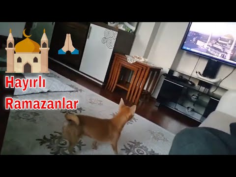 İFTAR SAATİNİ BEKLERKEN BADİ'DEN DİKKAT ÇEKEN TEPKİ