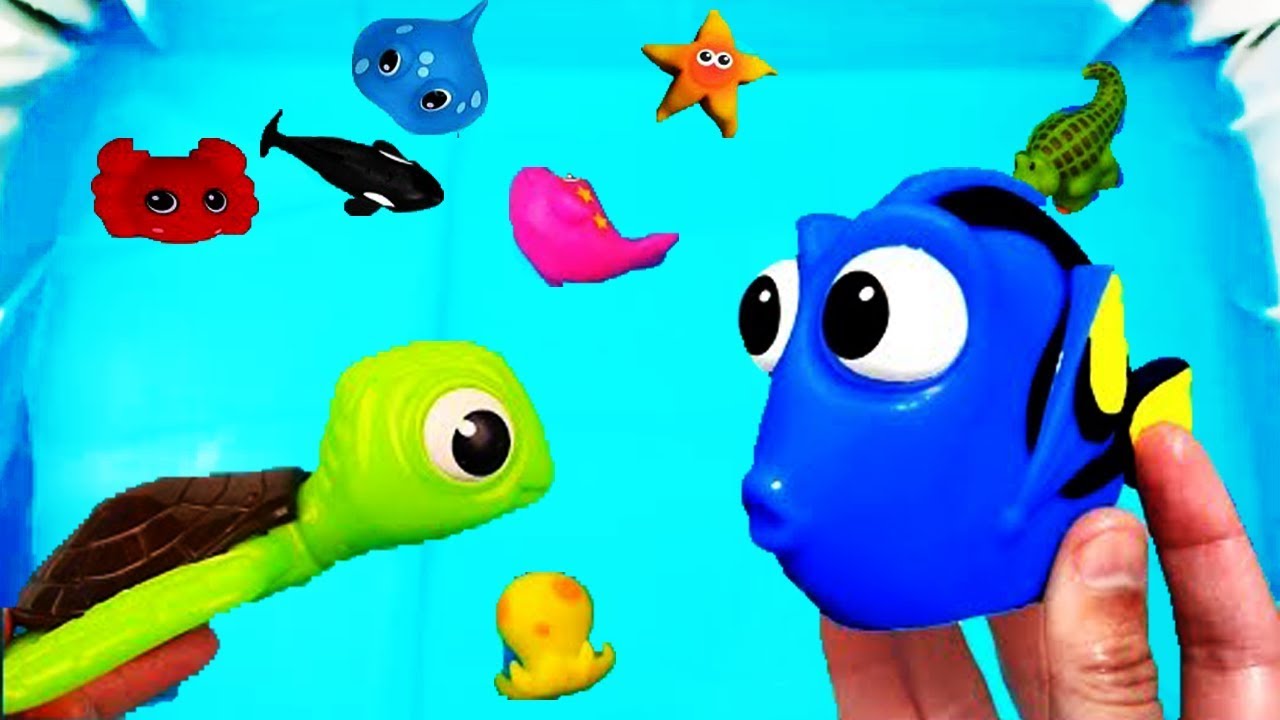 Learn Colors With Sea Wild Animals and Animal Names | Pool Water Colors ...