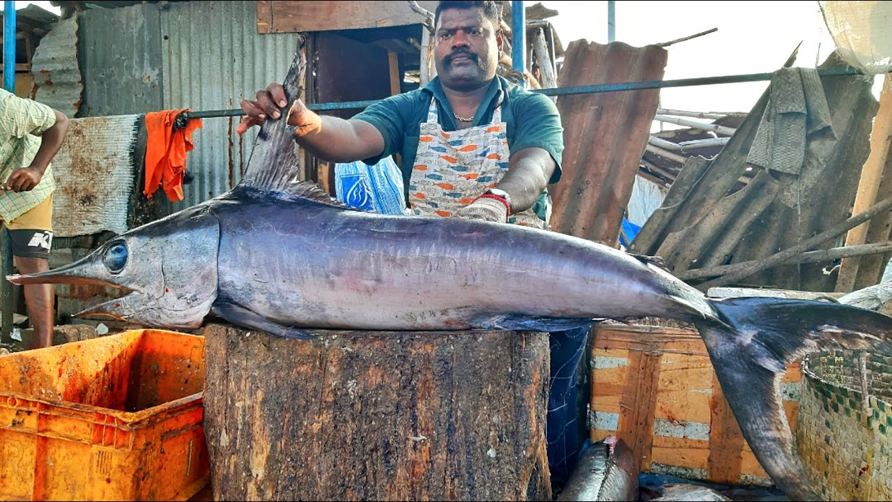 SELVAM 🔥VAAL SURAA MEEN || KOLA FISH || BIG CUTTING SLICES || CUTTING ...