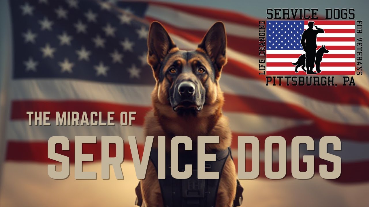 LCSDFV The Miracle of Service Dogs, Featuring Craig & Foxy, Tammy & TJ ...
