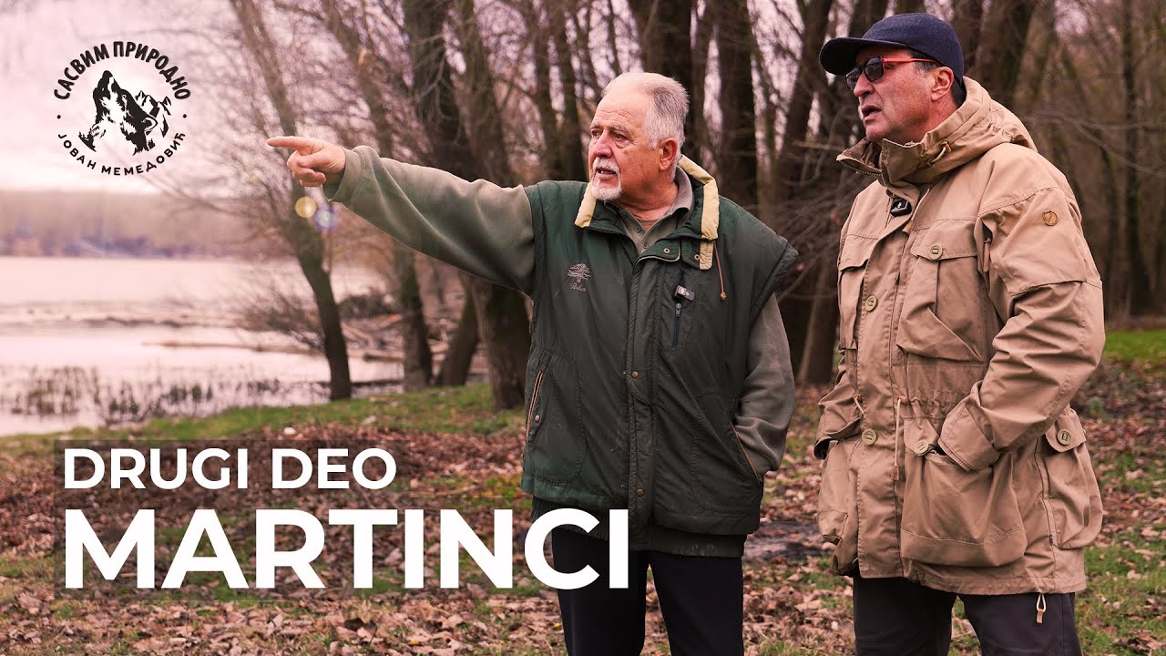 SASVIM PRIRODNO: Martinci 2. deo - YouTube