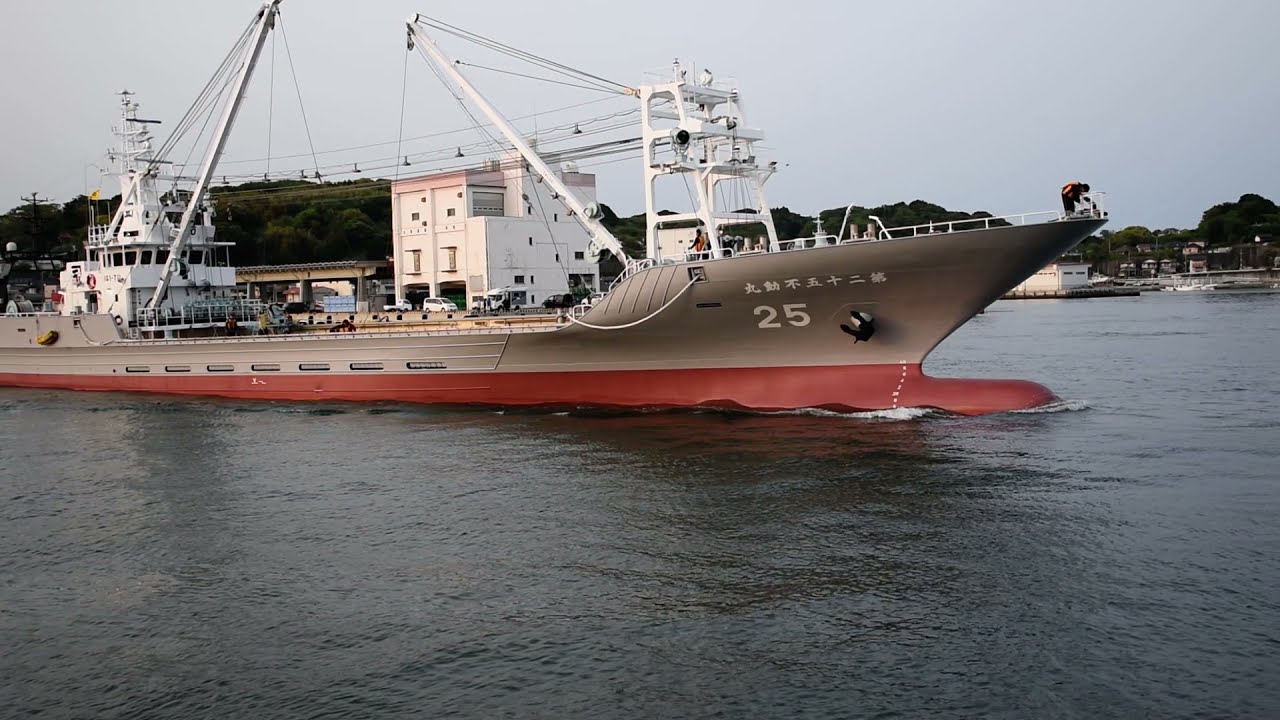 Round haul net fishing boats 2021年5月 まき網漁船団出漁 - YouTube