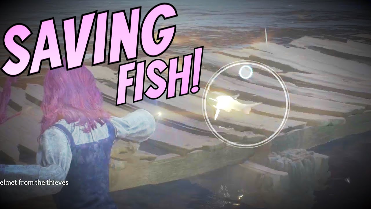 how to save the fish in hogwarts legacy - YouTube