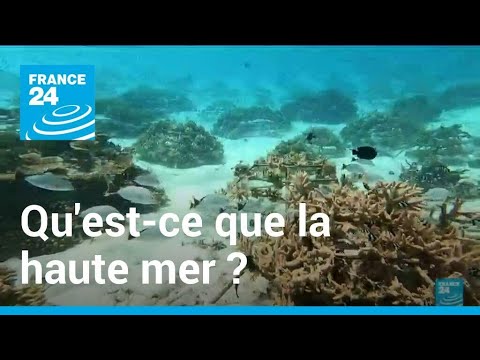 One Ocean Summit : qu'est-ce que la haute mer ? • FRANCE 24 - YouTube