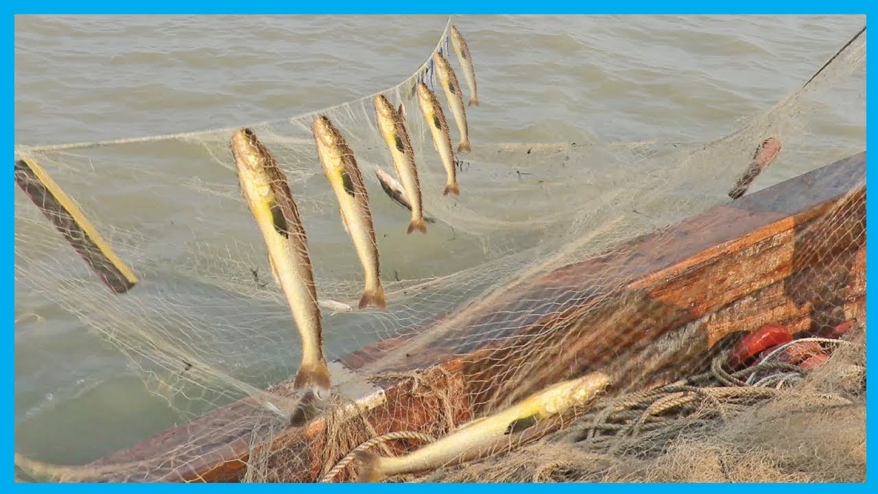 Deep Sea Fishing (PART 4) - Exclusive Bay of Bengal Fishing for Extinct ...