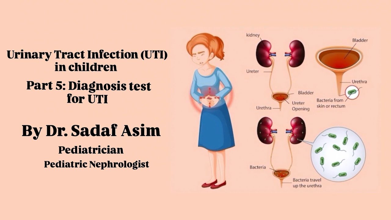 Urinary Tract Infection UTI in children l PART 5 Diagnosis tests for ...