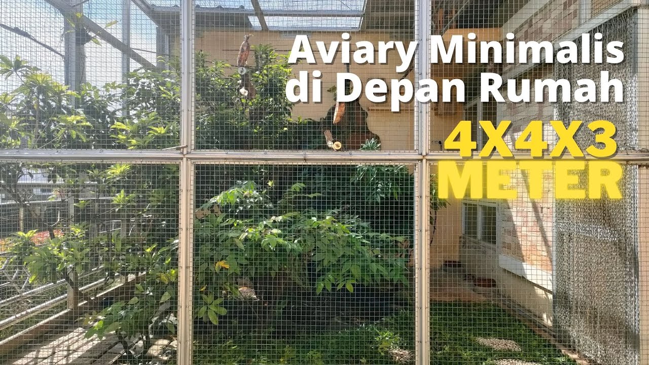 Aviary Minimalis di Depan Rumah Ukuran 4x4x3 Meter - YouTube