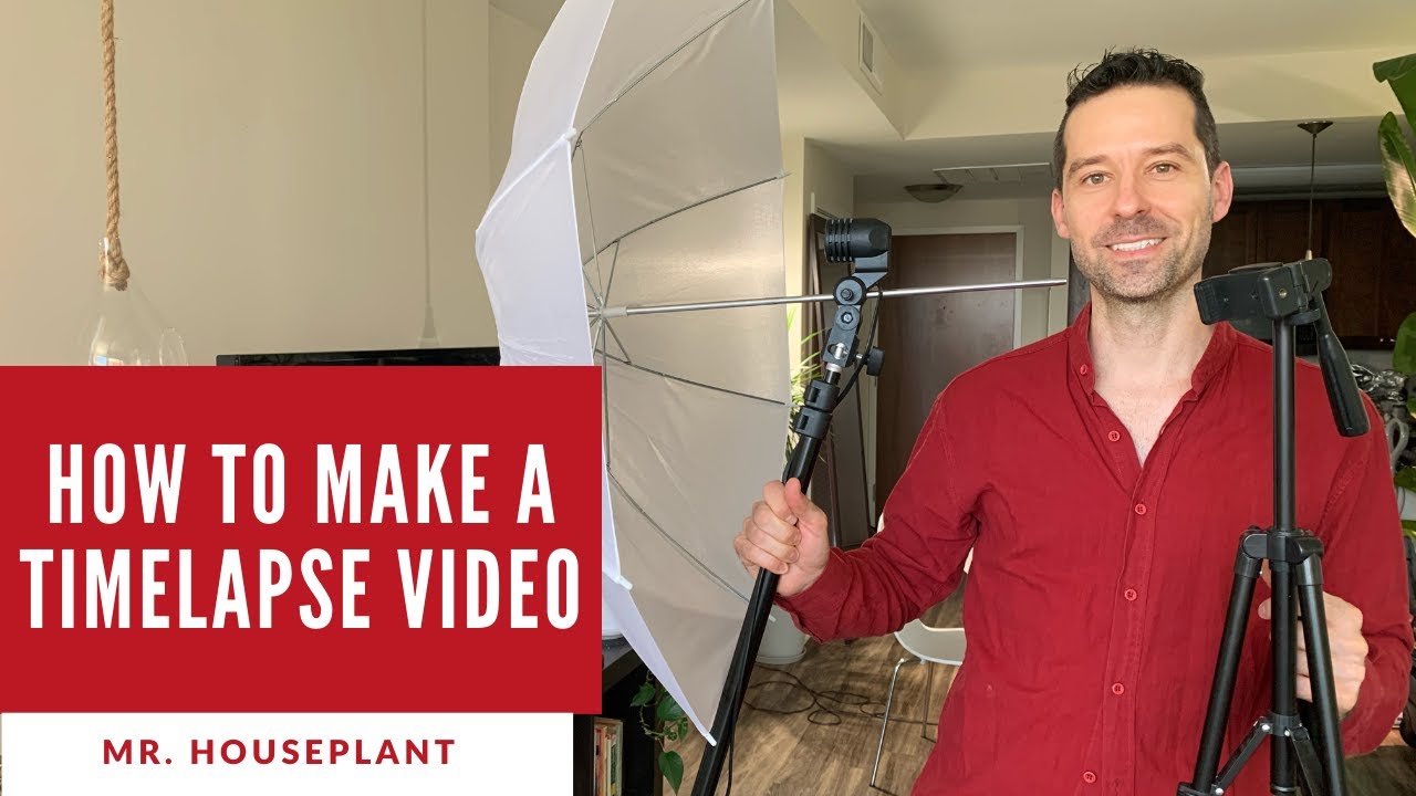 How to make a time lapse of a plant growing - YouTube