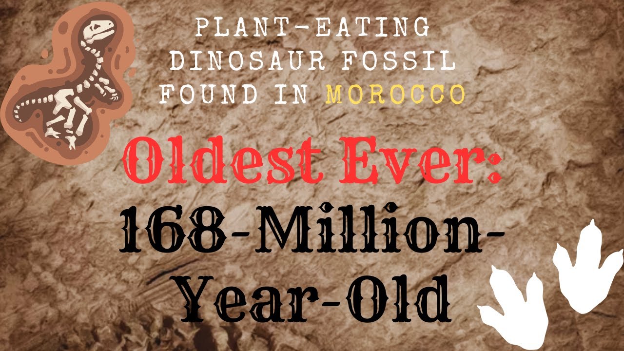 Oldest Ever: 168-Million-Year-Old Plant-Eating Dinosaur Fossil Found in ...