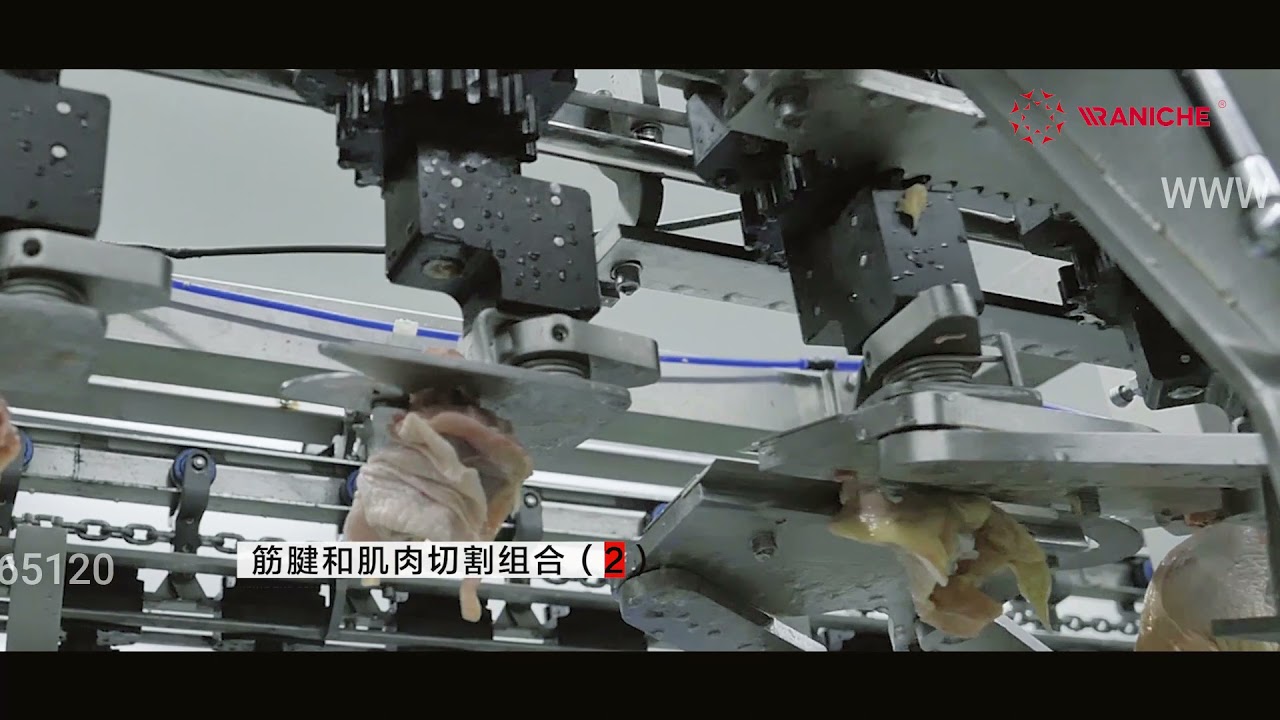 Qingda Raniche Automatic Chicken Leg Deboning Machine Thigh Deboner ...